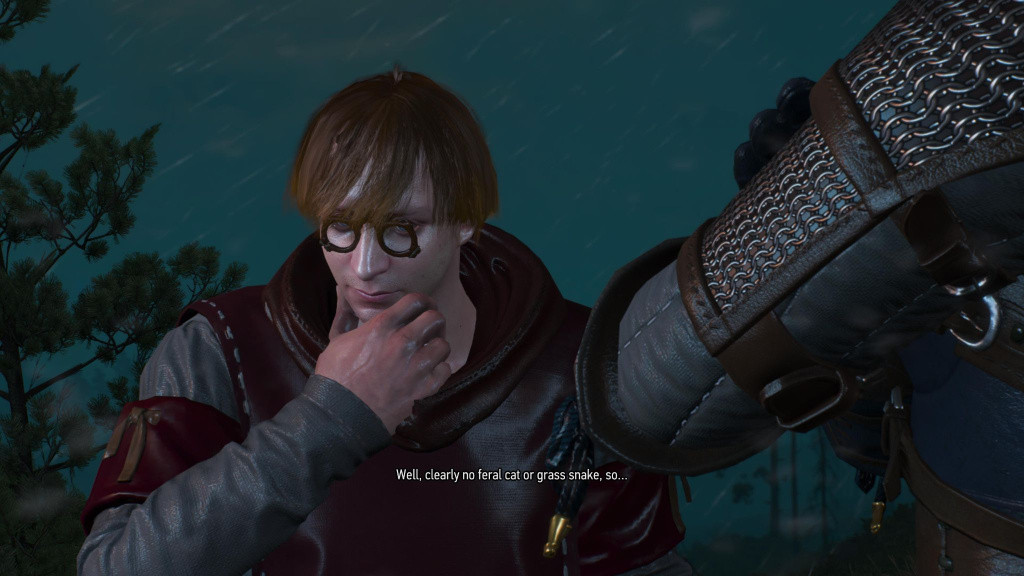 The Witcher 3 In The Eternal Fire's Shadow Quest Guide & Rewards - GINX TV