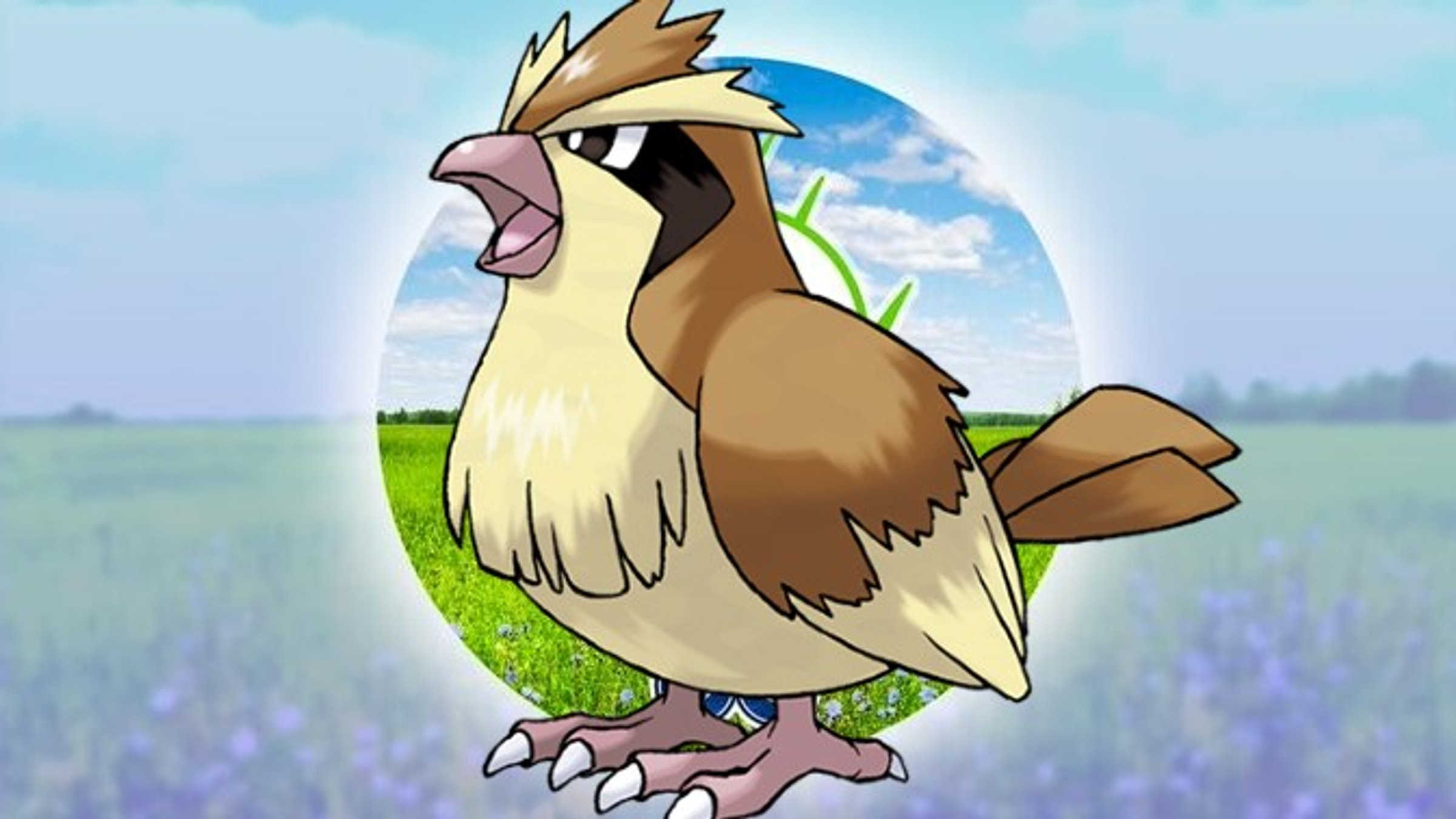 Can Pidgey Be Shiny In Pokémon GO? – Spotlight Hour - GINX TV